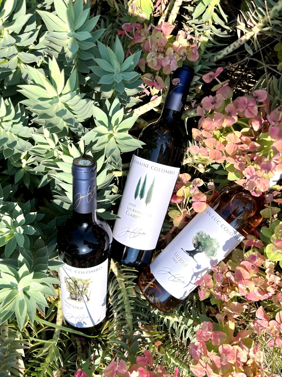 Jean-Luc Colombo | Regal Wine Co